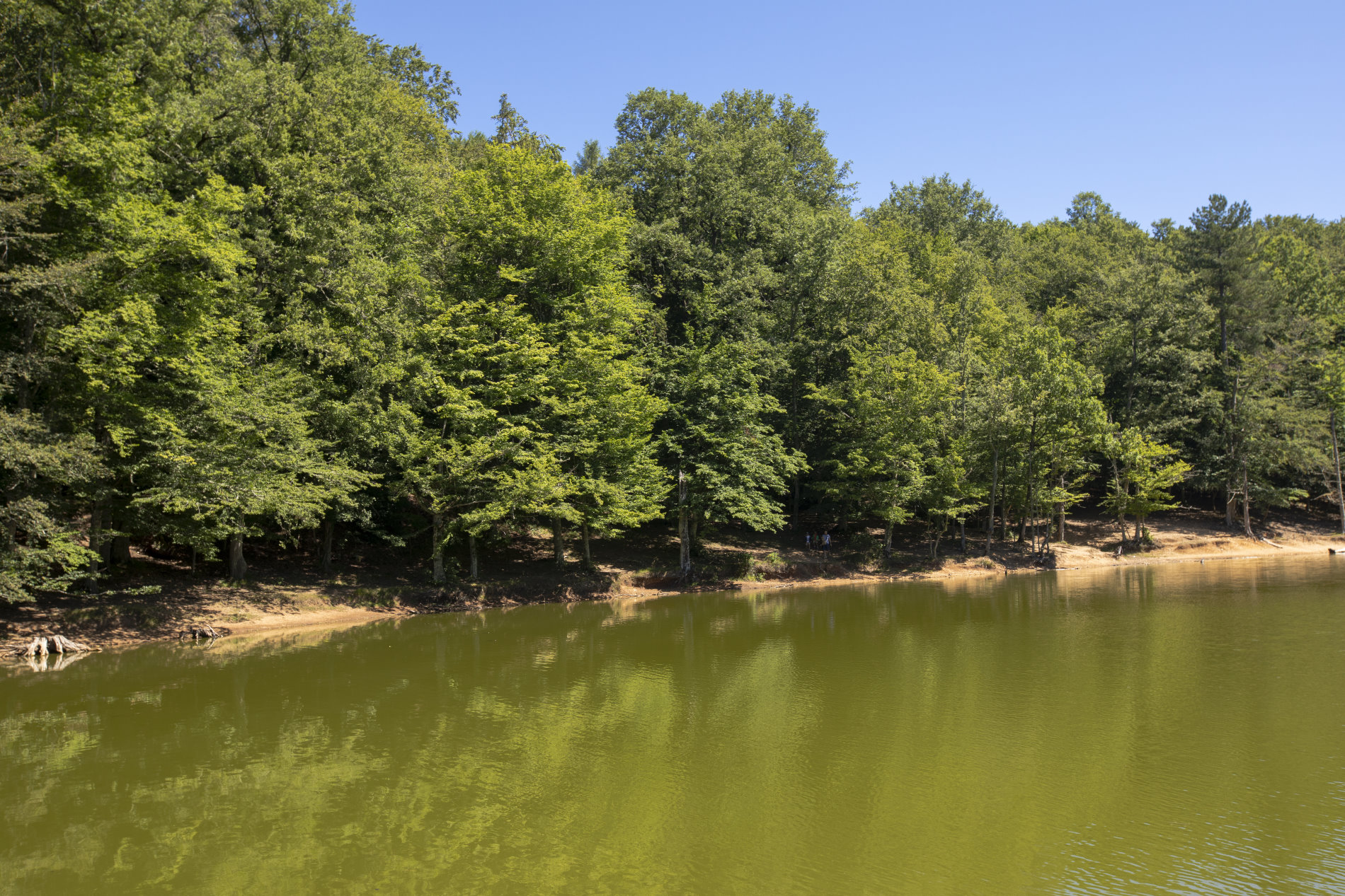 The Umbrian Forest - The town of two Unesco sites